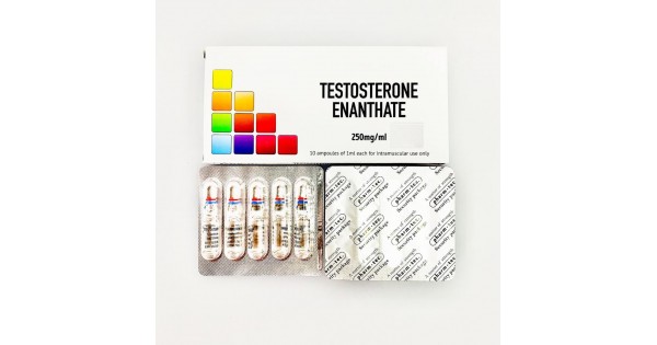 Testosterone Enanthate - 10 amp (250mg/amp) | Testosterone enanthate